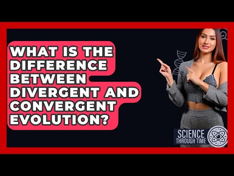 What Is The Difference Between Divergent And Convergent Evolution? - Science Through Time