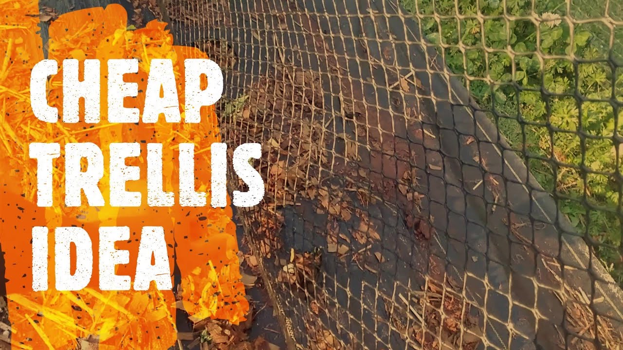 CHEAP TRELLIS IDEA