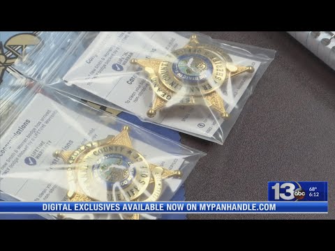 FCSO Badges