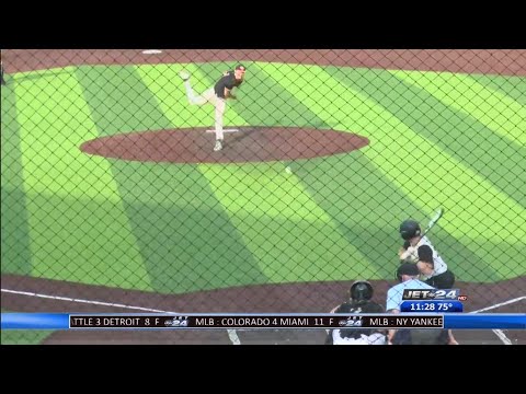 PIAA Baseball