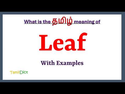 Leaf Meaning in Tamil | Leaf in Tamil | Leaf in Tamil Dictionary |