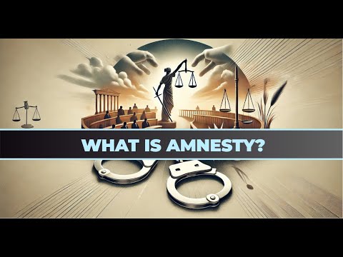 What is Amnesty? Explained Simply!