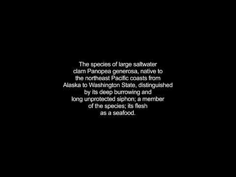geoducks video Dictionary meaning and pronunciation