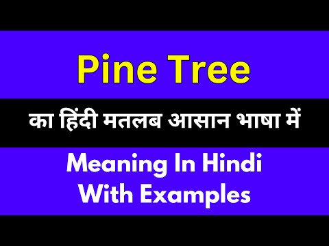Pine Tree meaning in Hindi/Pine Tree का अर्थ या मतलब क्या होता है.