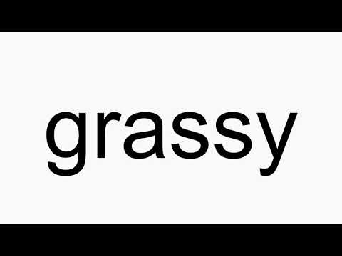 How to pronounce grassy