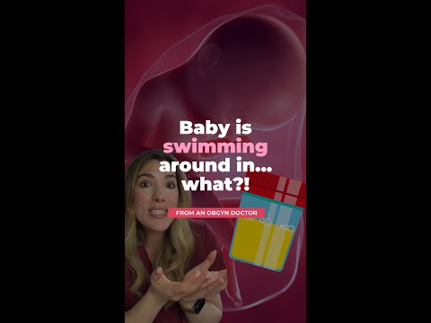 What is amniotic fluid?