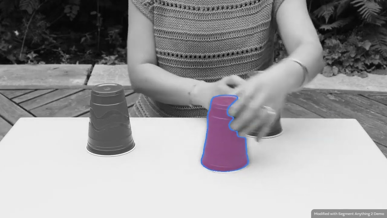 SAM 2 - next gen Segment Anything Model