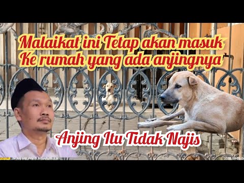 Gus Baha' : Anjing Itu Tidak Najis & Malaikat Ini Tetap Masuk rumah