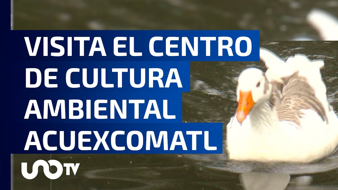 ¡Cuida la naturaleza! Aprende en el Centro de Cultura Ambiental Acuexcomatl