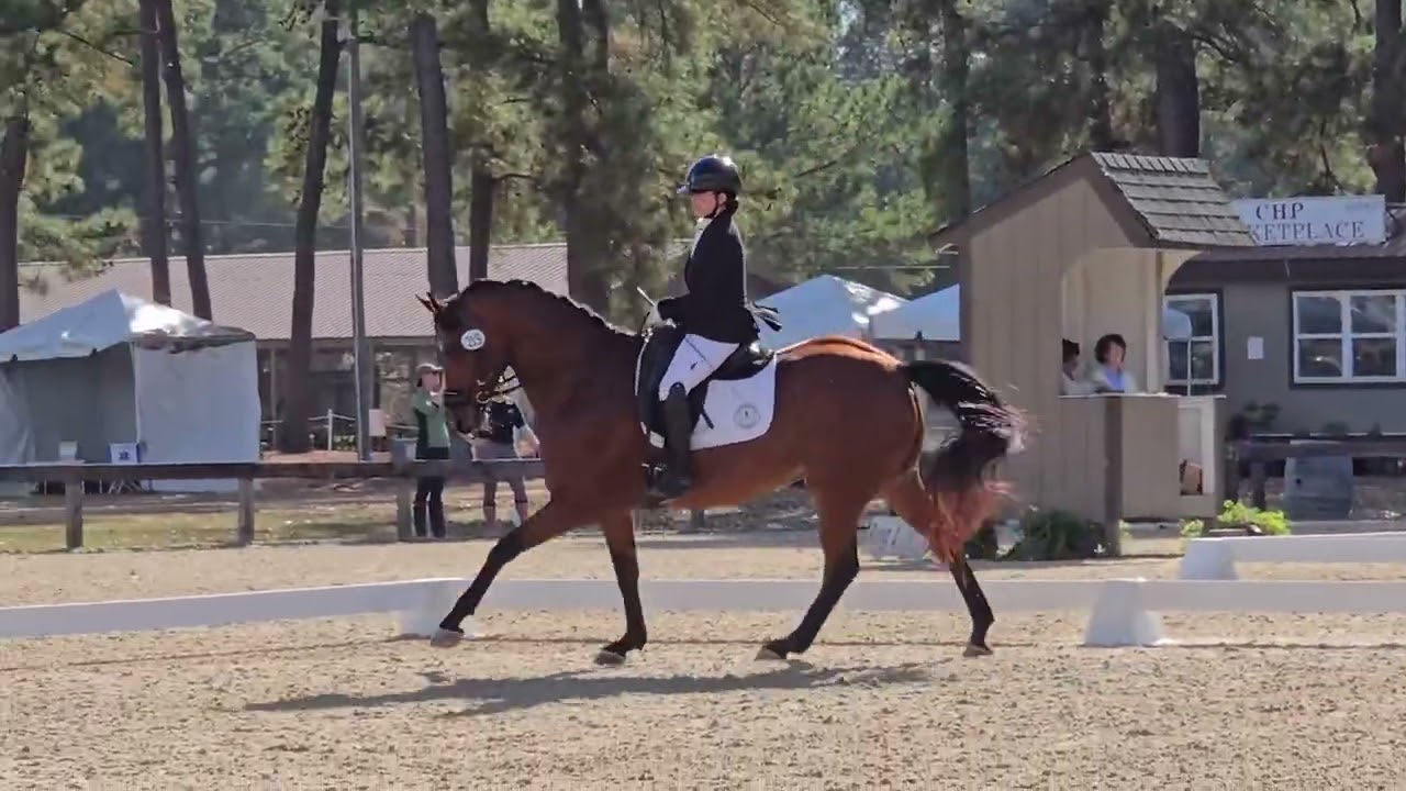 USDF Fourth Level Test 1 - DATP - 66.974%