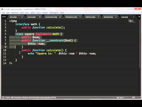 Learn Polymorphism - Mind Luster