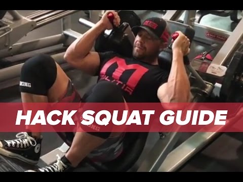 Hack Squat - Squat Machine Latest Price, Manufacturers & Suppliers