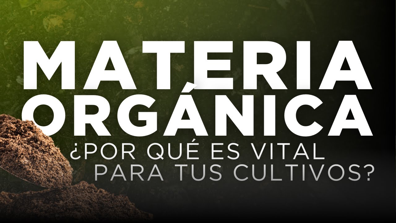 Organic matter: Keys to healthier soil