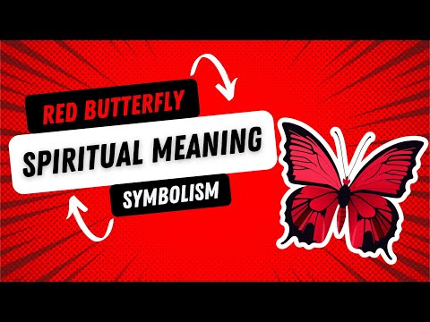 Red Butterfly Meaning, Spiritual Symbolism & Hidden Significance #butterflysymbolism #butterfly