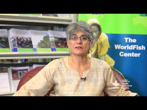 Interviews with thought leaders: Gender transformational research in development
