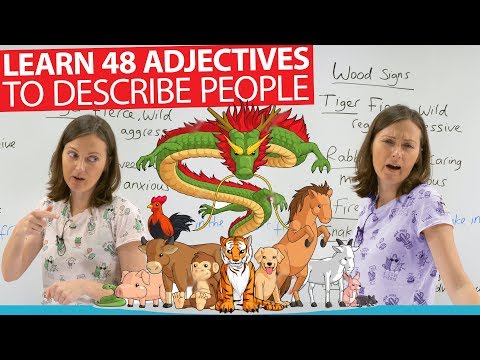 Learn 48 adjectives in English to describe people with Chinese astrology
