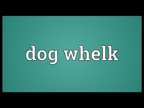 Dog whelk Meaning