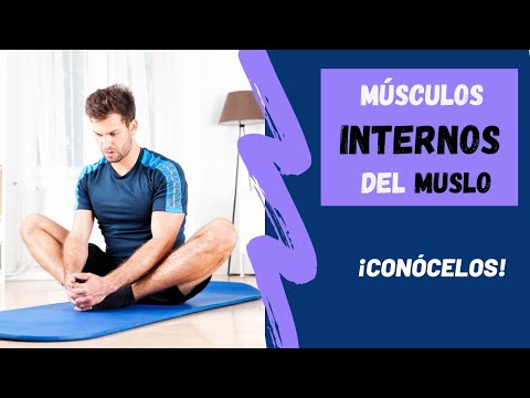 Músculos internos del muslo – La mochila de Héctor