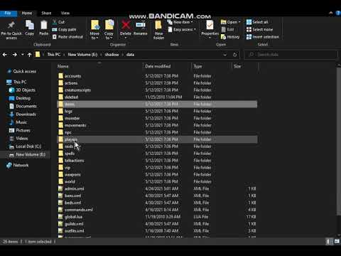 Client debug caused by items