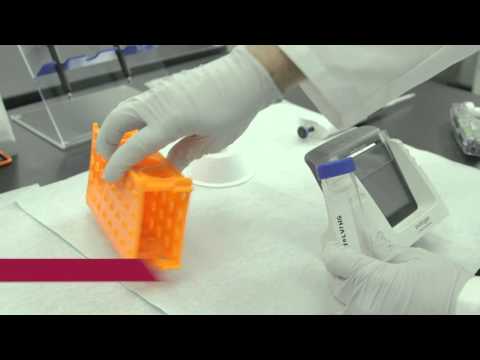 SureCast Gel Handcast System - 100% Leak-free protein gel casting*