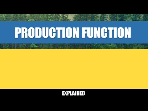 PRODUCTION FUNCTION-EXPLAINED - BUSINESS ECONOMICS-SHORT VIDEO