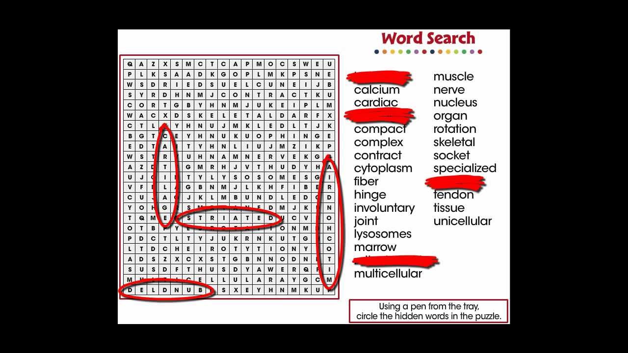 CC7549 Cells, Skeletal & Muscular Systems: Word Search Mini - 2013