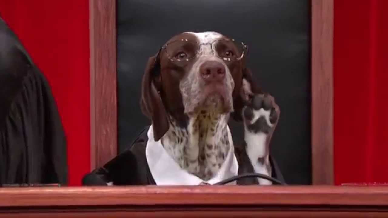 Chief Delphi, #RealAnimalsFakePaws