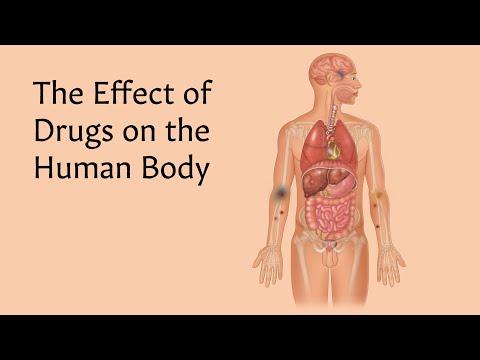 The Effect of Drugs on the Human Body | AnatomyStuff