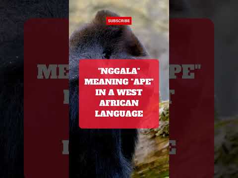 #TIL #Etymology The Origin of "Gorilla": Lost in Translation