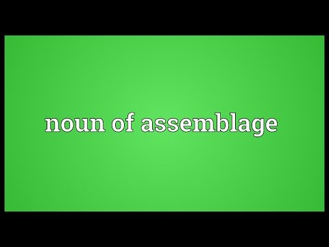 Noun of assemblage Meaning