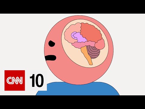 How love and rejection can impact our brains | February 14, 2024