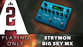 Strymon Big Sky MX Multi Reverb Pedal - Andertons Music Co.