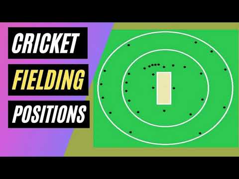 cricket fielding positions / cricket ground positions / cricket positions | fielding positions