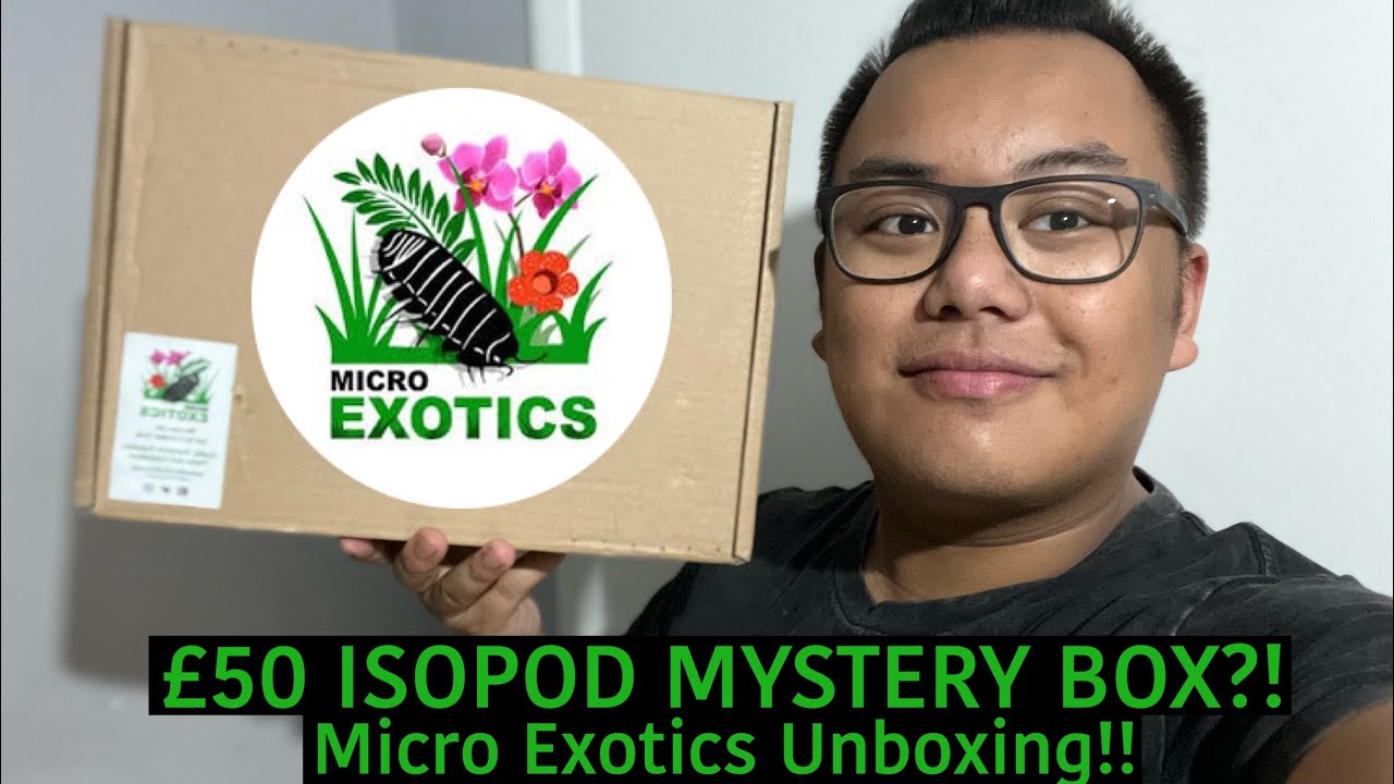 £50 ISOPOD MYSTERY BOX?! Micro Exotics Unboxing!!