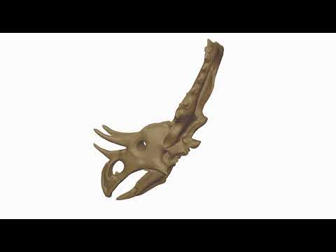 💀 CHASMOSAURUS skull・ STL File for 3D printing and CNC machining ...