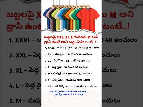 T-Shirt Size Guide | What XXL, XL, L, M, S, XS Mean | Inches Chart Explained | Clothing Size Info