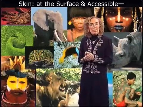 Elaine Fuchs (Rockefeller) Part 2: Tapping the Potential of Adult Stem Cells, and Summary