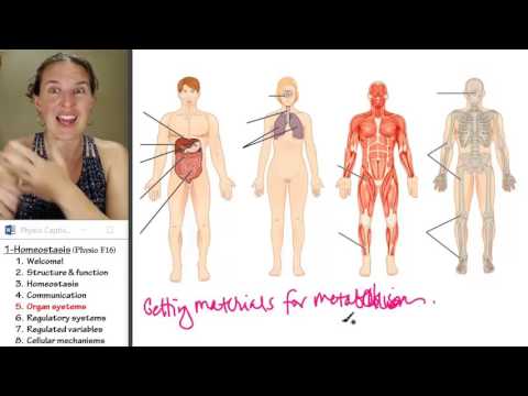 Homeostasis 5- Organ systems