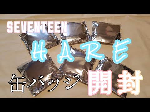【SEVENTEEN/Unboxing】HARE 缶バッジ 開封動画