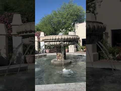 Surviving and thriving in my first Tucson Arizona summer! #tucson #arizona #desert