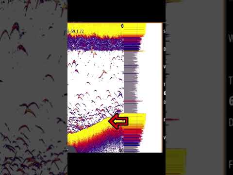 Fish Finders for Dummies! Sonar explained for beginners! What the colors mean!