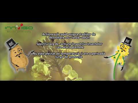 Apis 200SE 1L - 230ron