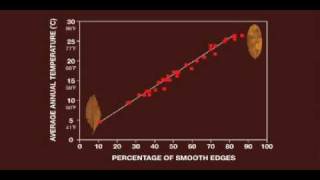 Prehistoric Climate Change: Doing the Math | Smithsonian Institution