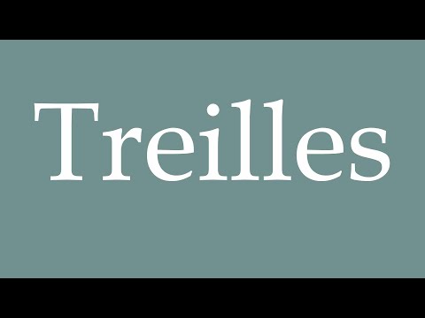 How to Pronounce ''Treilles'' (Trellises) Correctly in French