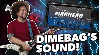 Warhead Amps Dime Bolt 40W Mini Guitar Amp Head - Andertons Music Co.