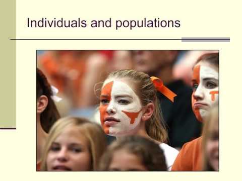 Lecture 2c: norms and standardization