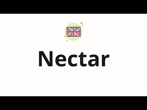 How to pronounce Nectar