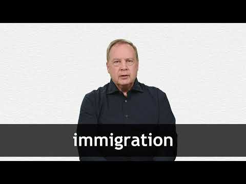 IMMIGRATION - Learn the Meaning, Synonyms & Translations | Collins ...