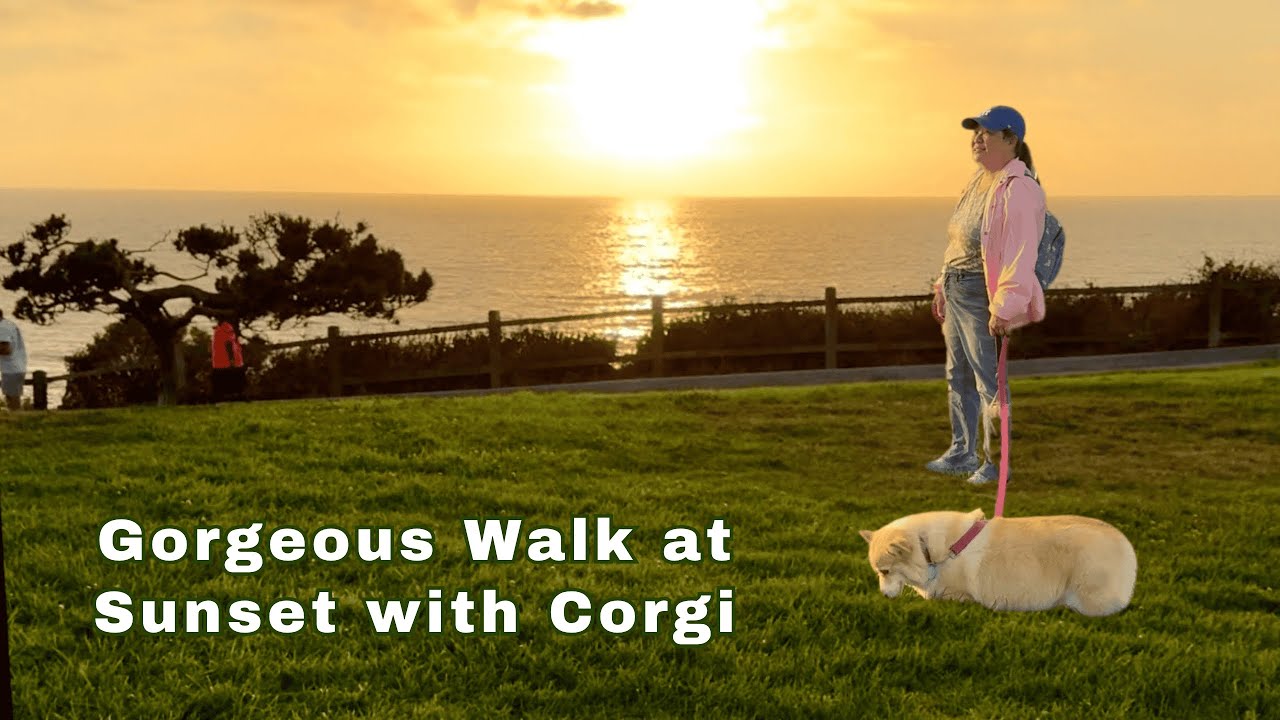 Lovely SoCal Evening Walk with Luna the Corgi