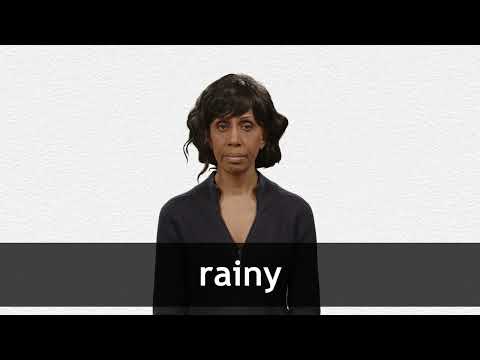 How to pronounce RAINY in American English